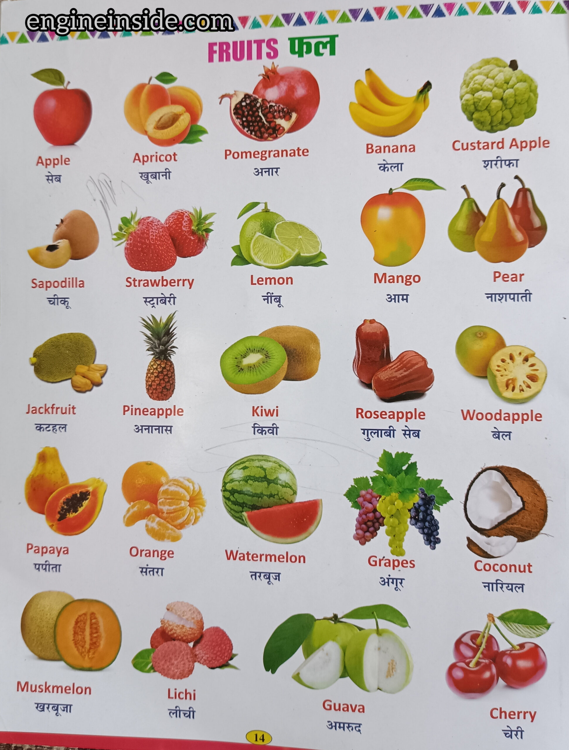 Common fruits - Engineinside
